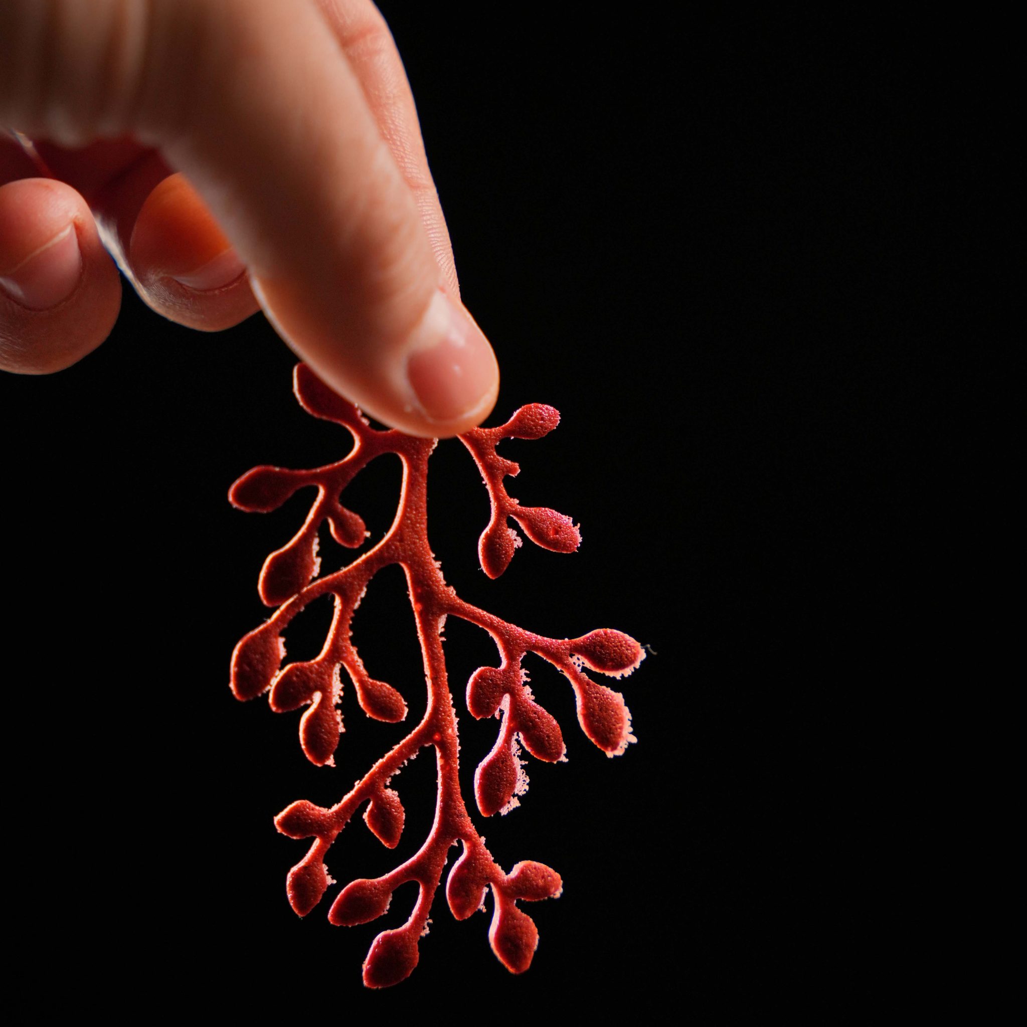 Tuile Recipe: History, Preparation, and Variations